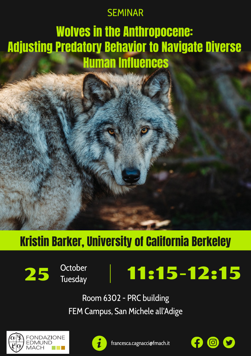 Wolves in the Anthropocene: Adjusting Predatory Behavior to Navigate ...